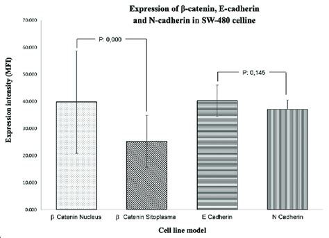 Differences In The Expression Of Nuclearcytoplasmic β Catenin