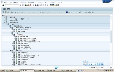 Sap Pp学习笔记05 Bom配置（customize）2 Bom用途，初期值设定，bom 中可用的品目type，message