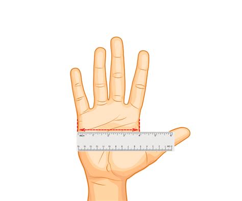 Hand Size Chart — 212 Performance