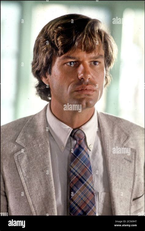 Harry hamlin Banque de photographies et dimages à haute résolution Alamy