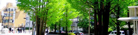 令和6年度第4回理事会報告 国士舘中学校・高等学校 同窓会