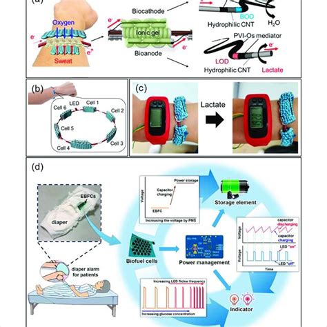 A Schematic Diagram Of The Fiber Crafted Biofuel Cell Based On