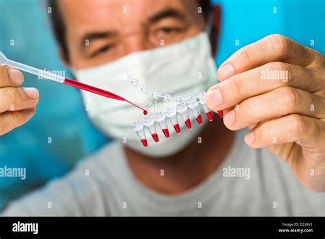 A Scientist Is Experimenting With Genetic Material Stock Photo Alamy