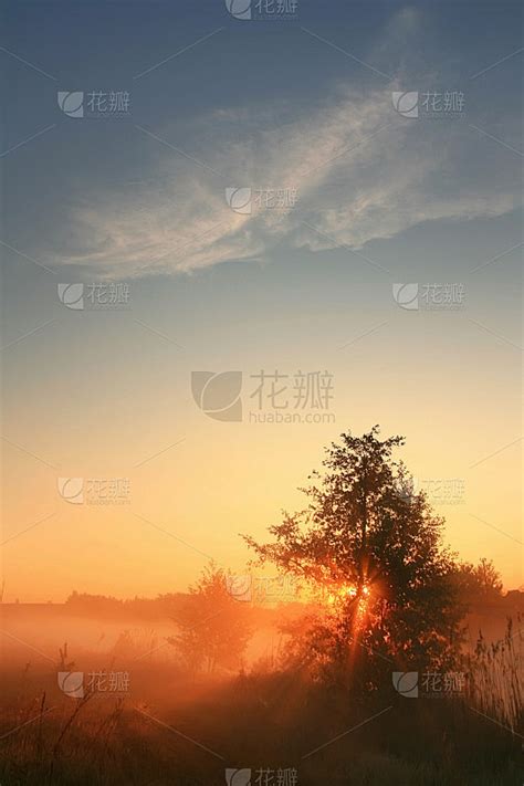 初升的太阳的第一缕阳光