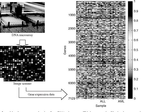 Figure 2 From Ensemble Classifiers Based On Correlation Analysis For