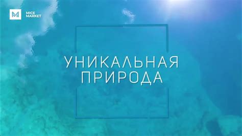 Самарская область Youtube
