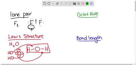 Solveduse Examples To Illustrate Each Of The Following Terms Lone
