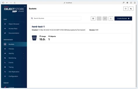 Minio Laravel Herd