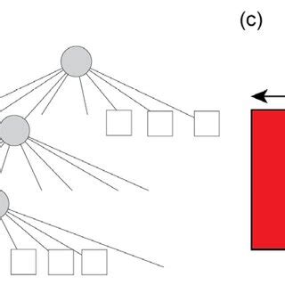 Overview Of Sds E Inside A Schematic Voxel A And Sds B