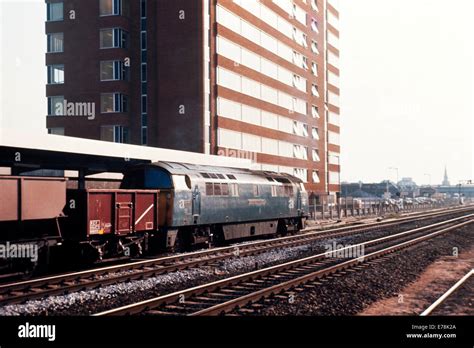 Diesel Engine D1053 Western Patriarch Hauling A Goods Train Through