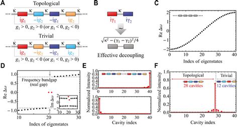 Gain And Loss Induced 1d Photonic Topological Insulating Phase