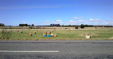 Meanwhile In New Zealand Imgur