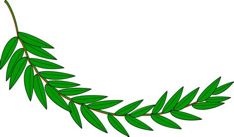 Rama De Hojas Vector Png Png Image Hojas Png Stunning Free The Best