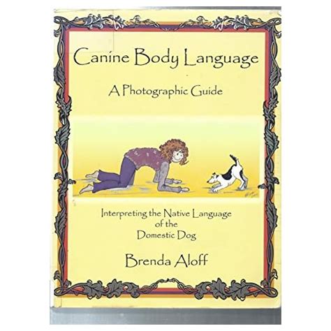 Do Dogs Like Anal Sex Life My Dog