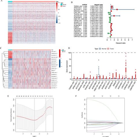 Identification Of The Prognostic Differentially Expressed Mitochondrial