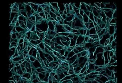 Scientists Unveil Innovative Machine Learning Technique For Modeling