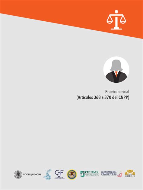 Prueba Pericial Pdf