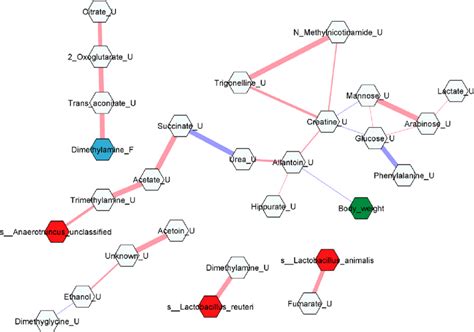Correlation Network Constructed From Urinary Metabolites At Week 8 In