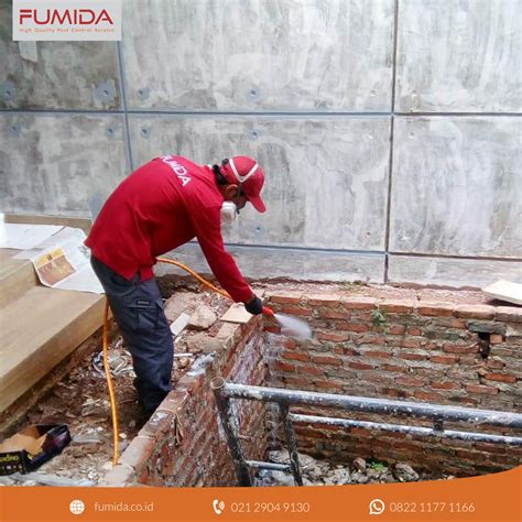 Cara Membasmi Rayap Di Rumah Yang Praktis