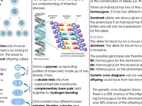 Inheritance Variation And Evolution Critical Content Sheet AQA GCSE