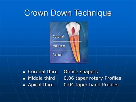 Ppt Cleaning And Shaping Of The Root Canal System Powerpoint