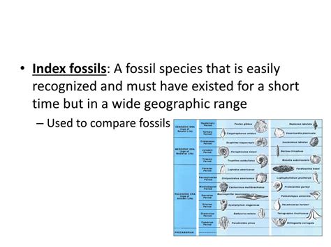 PPT Unit Evolution PowerPoint Presentation Free Download ID