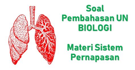 Soal Dan Pembahasan Sistem Pernapasan Kelas Xi