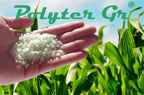 Polyter Gr Solar Impulse Efficient Solution