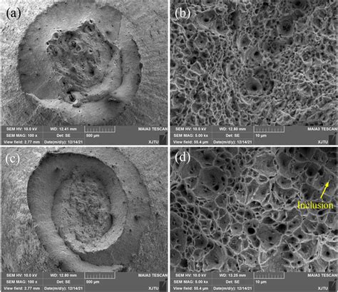 Sem Fracture Morphologies Of The Creep Ruptured A And B Bm And C And Download Scientific
