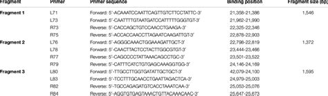 A List Of Primer Sequences Used For Rt Pcr Analysis And Sanger