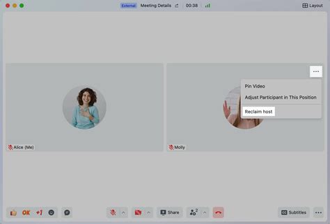 Choose A Host Or Co Hosts For A Meeting