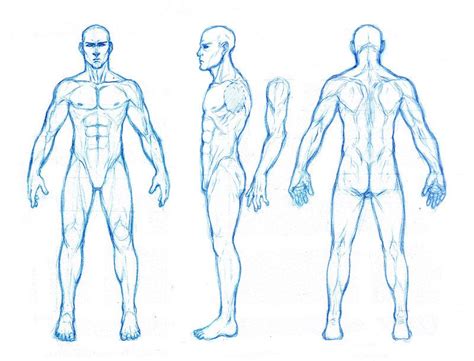 12 T Pose References Ideas To Save Today Character Model Sheet