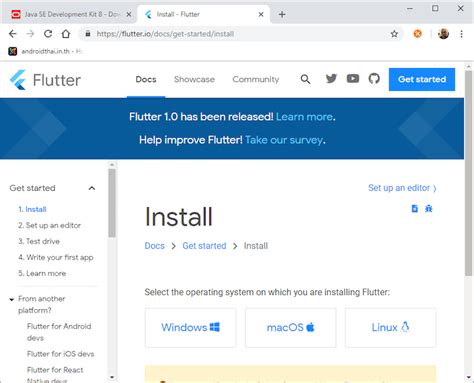 Flutter Windows
