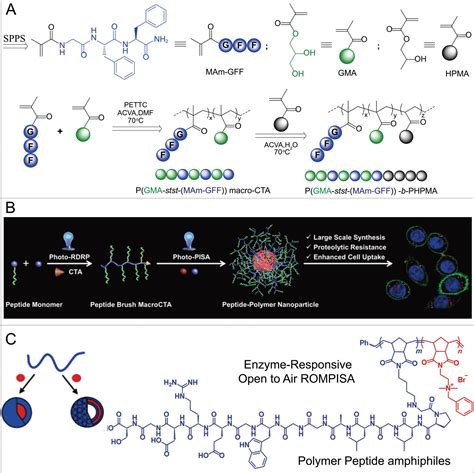 Polymerization‐induced Self‐assembly An Emerging Tool For Generating Polymer‐based Biohybrid