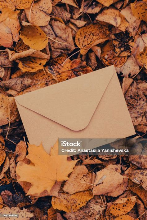 빈 흙 색조 봉투는 화려한 떨어지는 단풍 주위에 조롱합니다 템플릿 카드 황금 나무 잎입니다 가을 숲에 노란 잎이 있는 아름다운 나무 단풍이 흩어져있는 길 자연 가을 풍경 0