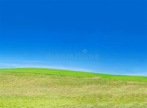 Freshly Mowed Lawn Stock Image Image Of Grassy Horizon 16809527