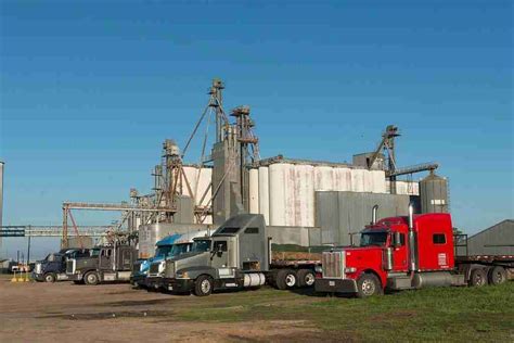 The Grain Game Inside A Rice Processing Plant Rice21 Grain Processing News
