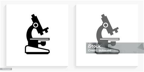 顯微鏡黑白正方形圖示向量圖形及更多化學圖片 化學 圖示 差異 Istock