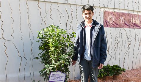 共筑绿色未来，携手植树新篇 富源英美学校植树节主题活动圆满完成！ 深圳市富源英美学校
