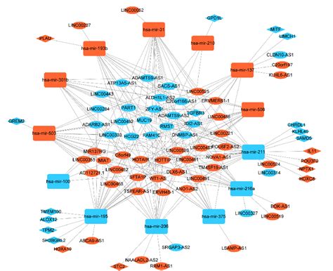 Figure 2 From Analysis Of Lncrna Mediated Cerna Crosstalk And