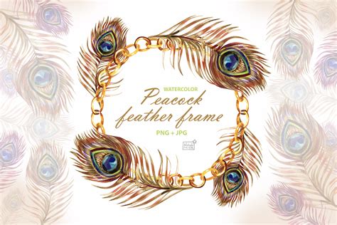 Watercolor Peacock Feather Frame Graphic By Natalimiasstore · Creative Fabrica