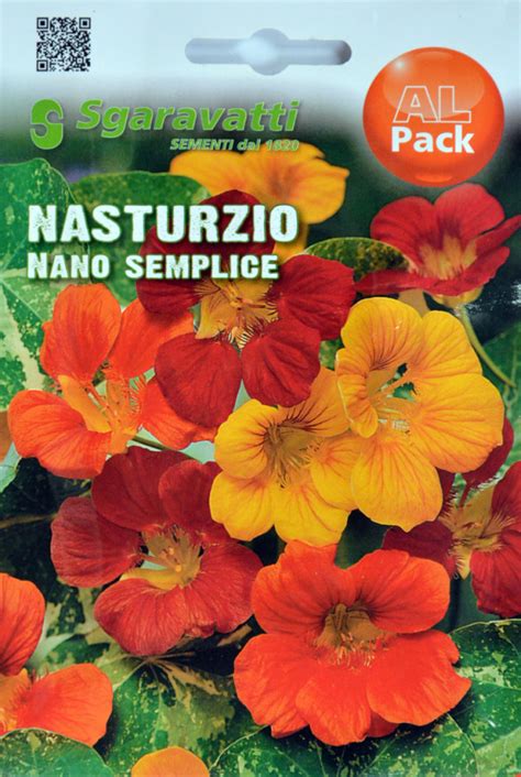 Dragoljub Običan Monteagro Doo Beograd