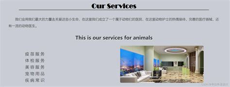 宠物救助网站 html 前端项目 前端html宠物救助 csdn博客