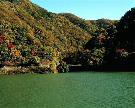 庄川峡 とやまビューポイント 公式砺波市観光サイト 砺波旅 となたび