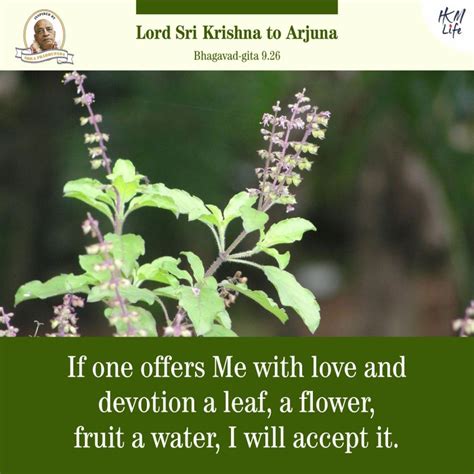 Hare Krishna Golden Temple On Linkedin Harekrishna