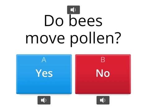 Bees Questions Quiz