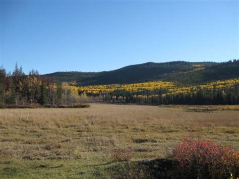 Large Acreage For Sale Surrounded By Crown Land Kleena Kleene