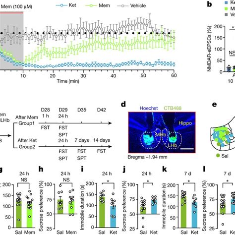 Neural Activity Untraps Ketamine From Nmdars A Top Left Schematic Of Download Scientific