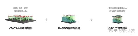 新一代xtacking架构惊艳！致态tiplus7100 1tb Ssd评测：无缓也可媲美旗舰 知乎