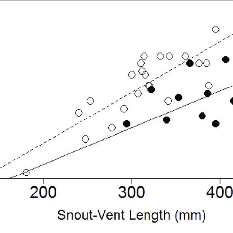 Variation In Tail Length In Relation To Snout Vent Length In Males